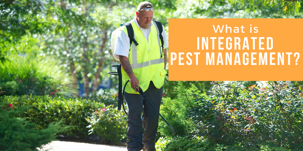 What is Integrated Pest Management? | Schill Grounds Management