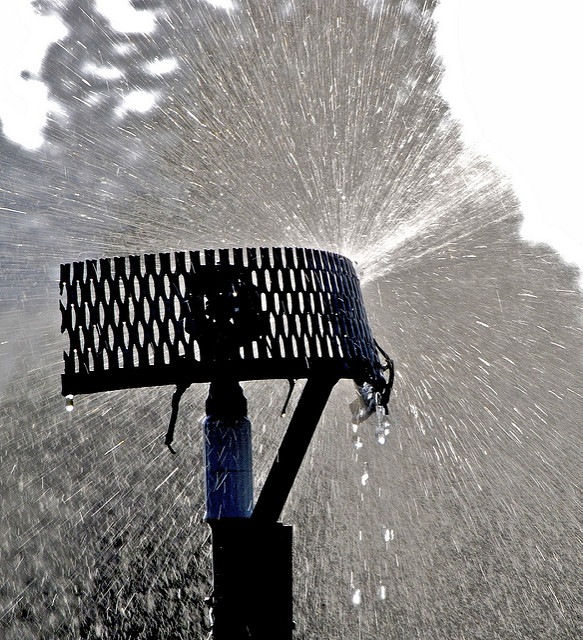 Why You Need to Conduct an Irrigation Audit | Schill Landscaping