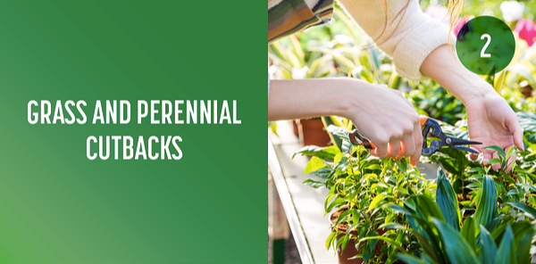 Spring Cleanup Landscaping Checklist | Schill Grounds Management