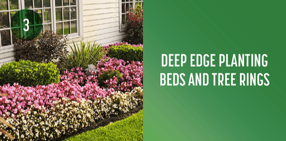 Spring Cleanup Landscaping Checklist | Schill Grounds Management